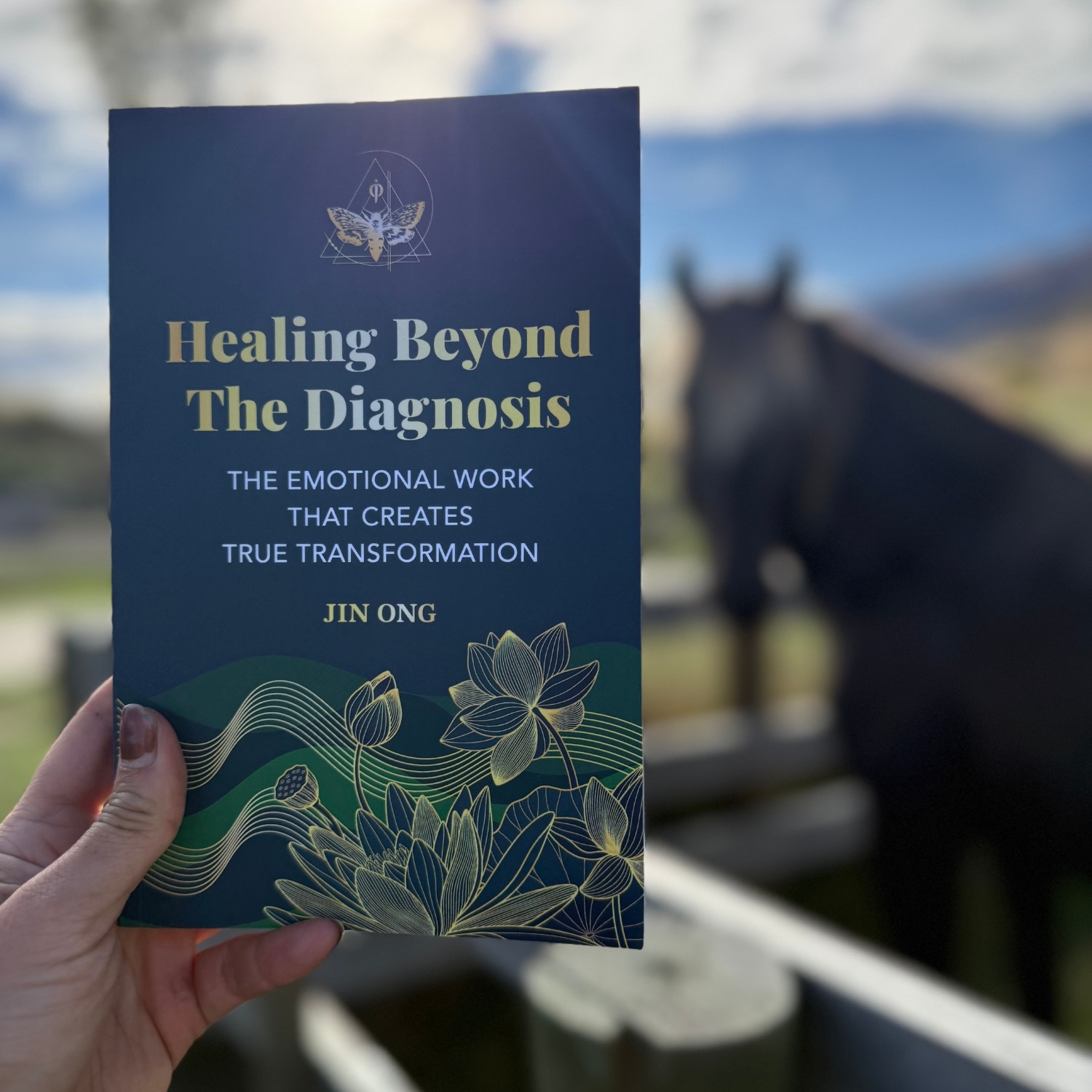 Healing Beyond The Diagnosis Book - Jin Ong